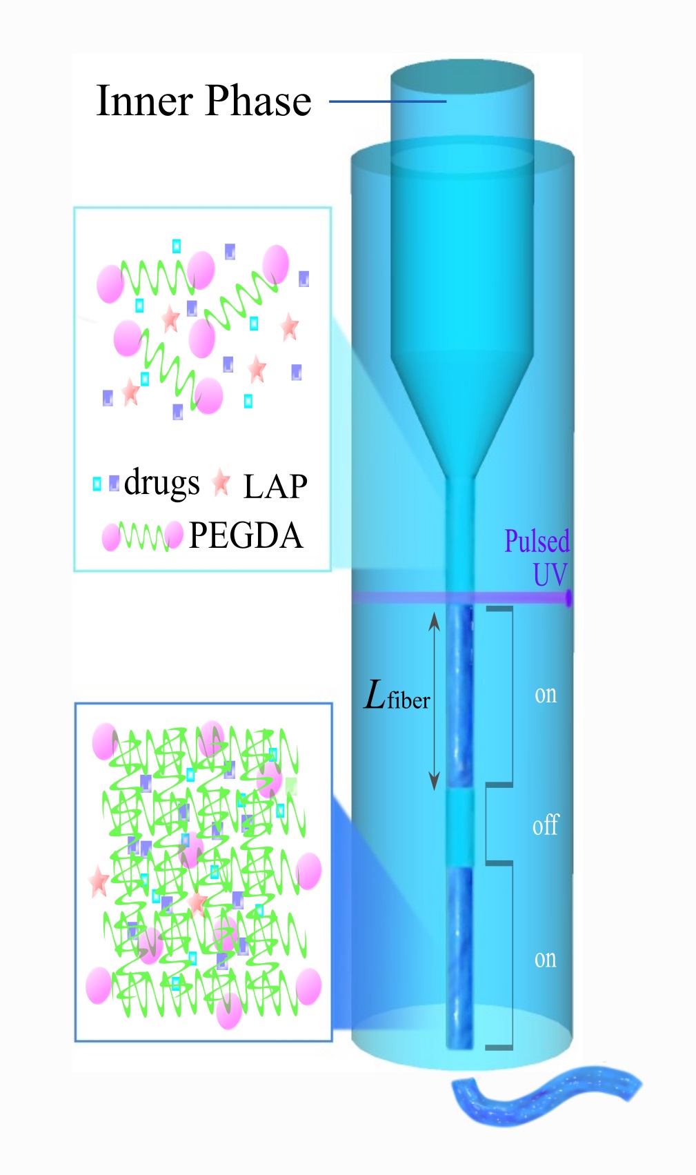 HKU Biomedical Engineering team develops a novel injectable hydrogel ...