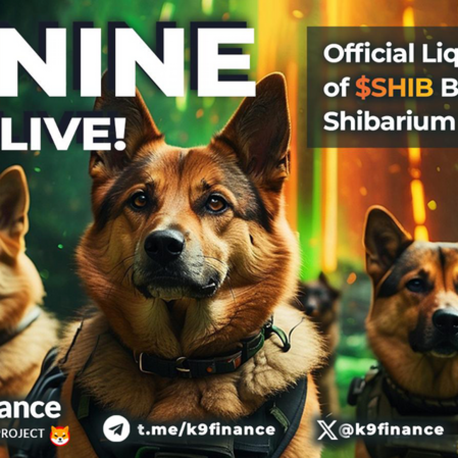 Official Shib Partner K9 Finance DAO Successfully Launches $KNINE — Arabian Post