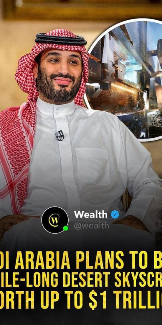 Prince's Mega-Project Faces Funding Woes — Arabian Post